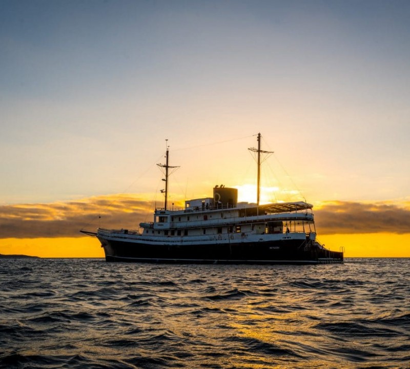 EVOLUTION Yacht Charter Details, Refitted 1979 Classic | CHARTERWORLD ...